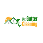 The Ultimate Guide to DIY Gutter Cleaning - With Essential Tools & Equipment - Mr. Gutter Cleaning